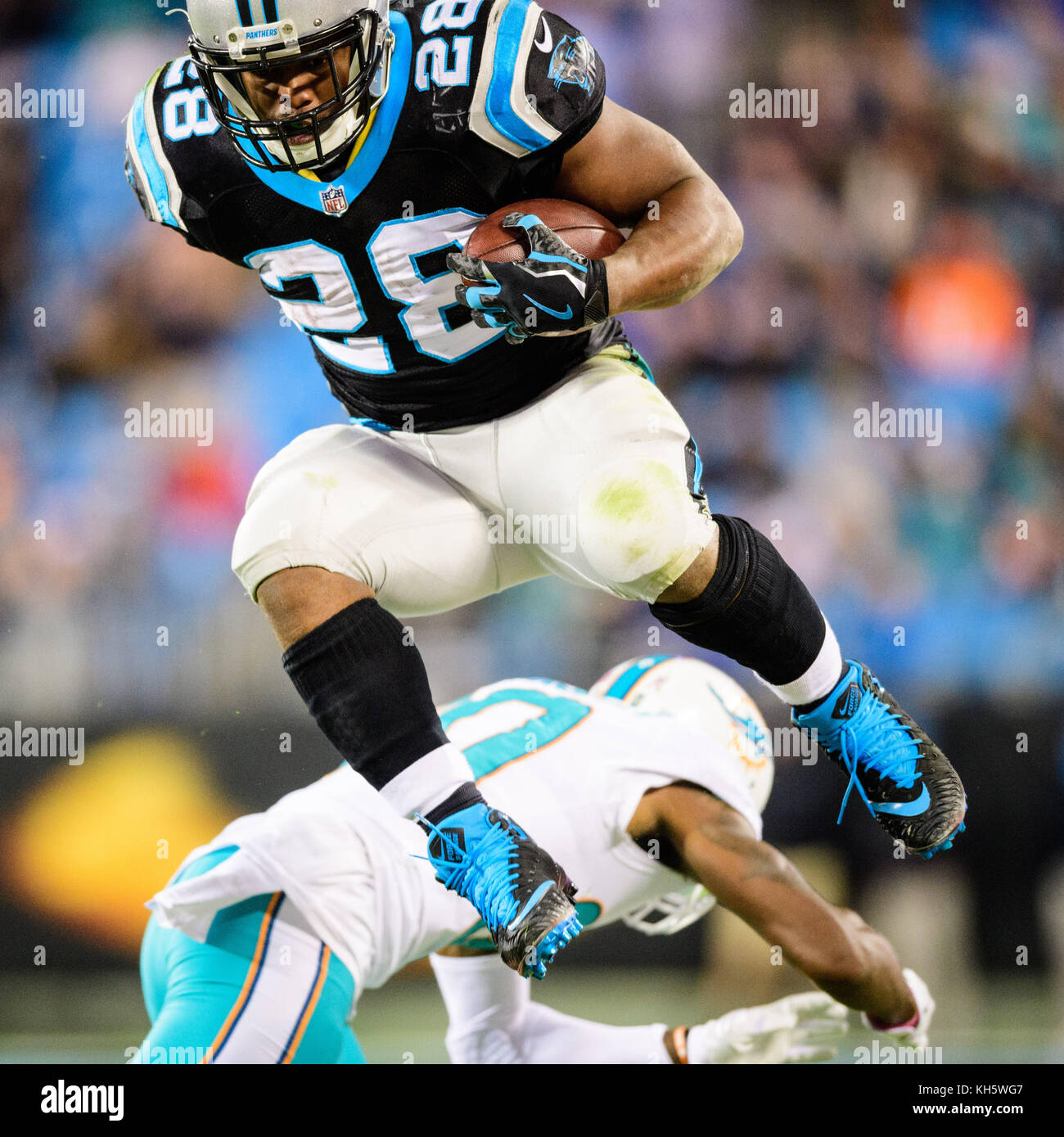 Carolina Panthers running back Jonathan Stewart (28) during the NFL ...