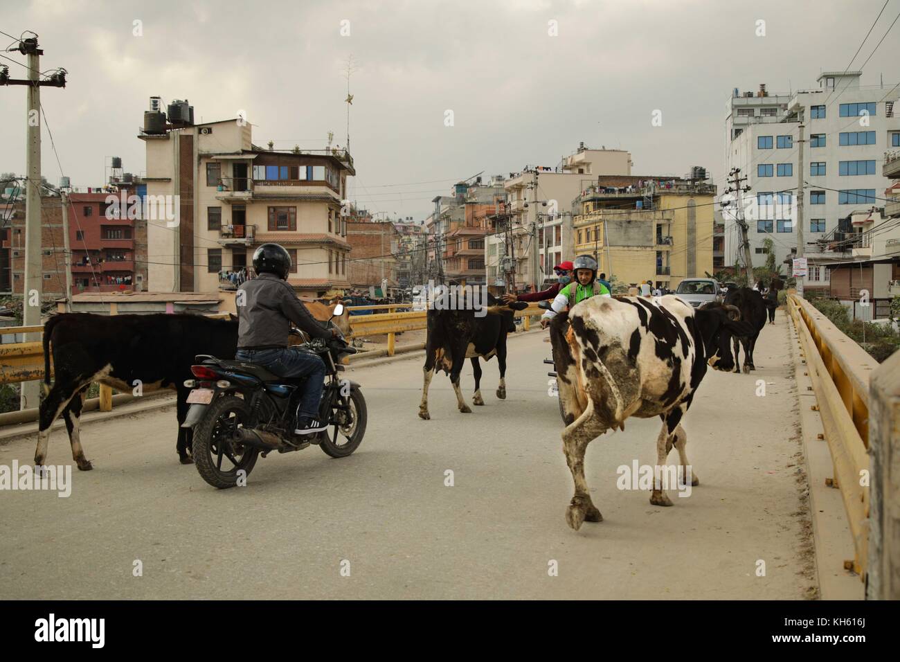 Kathmandu 2017 hi-res stock photography and images - Alamy
