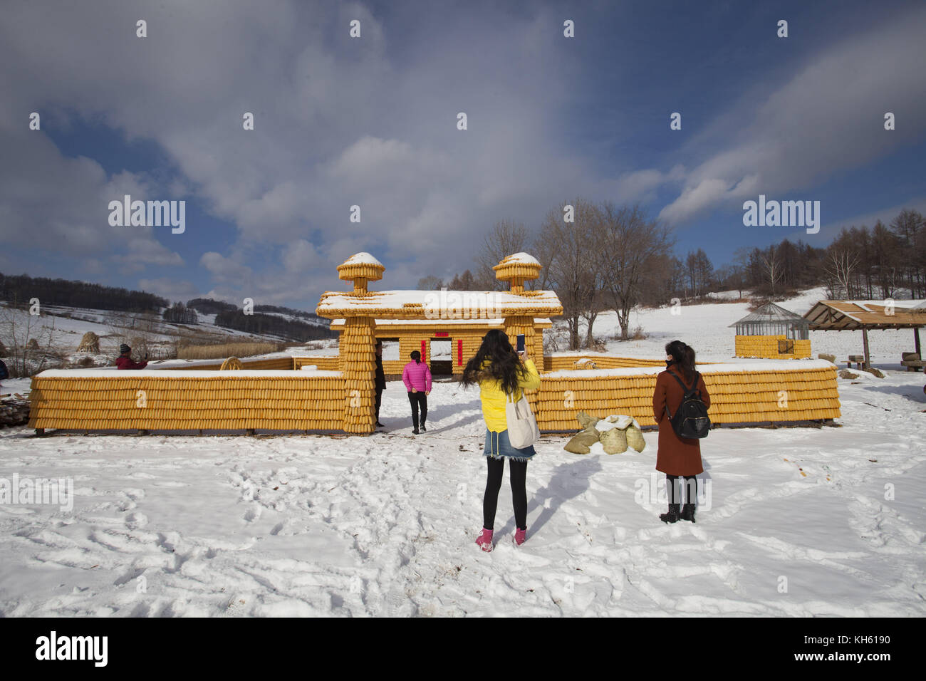 Shulan, Shulan, China. 11th Nov, 2017. Shulan, CHINA-11th November 2017 ...