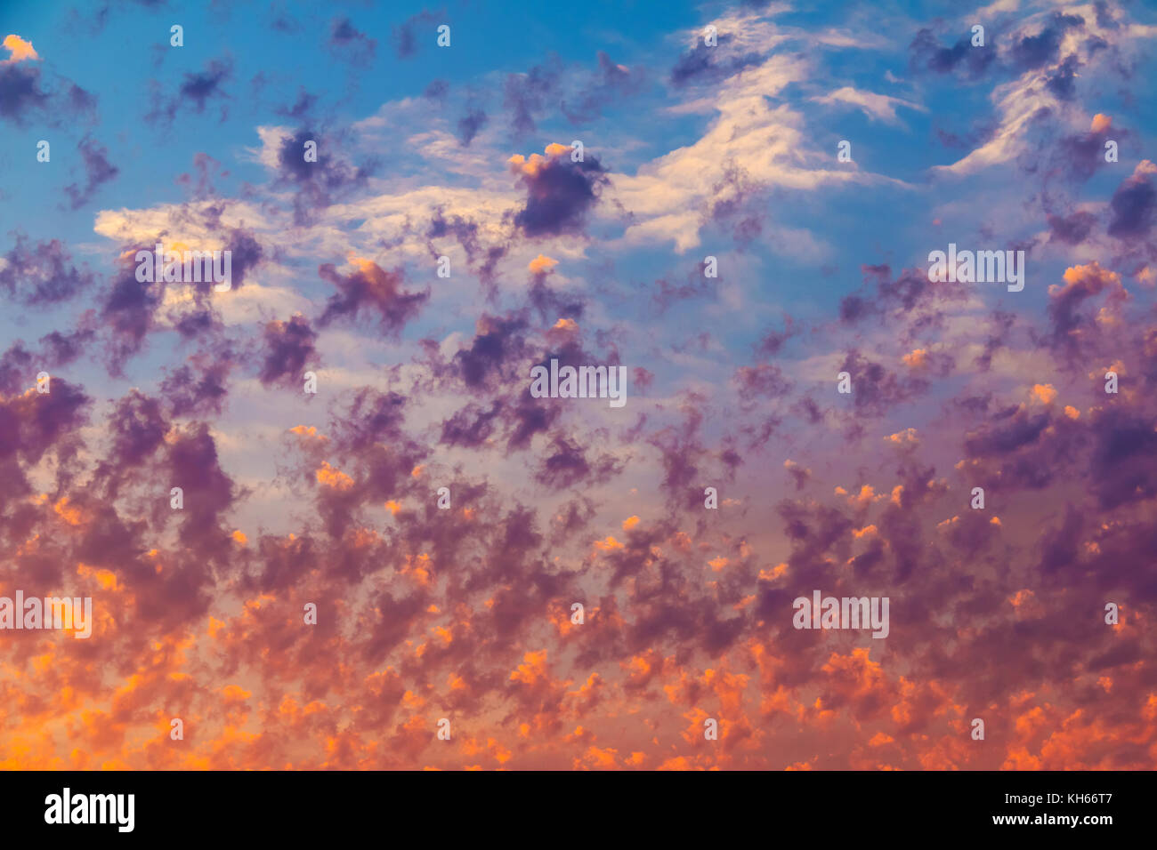 Cirrocumulus stratiformis cloud hi-res stock photography and images - Alamy