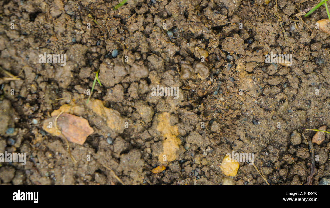 We hope you enjoy our first gallery of various terrain types and rock ...