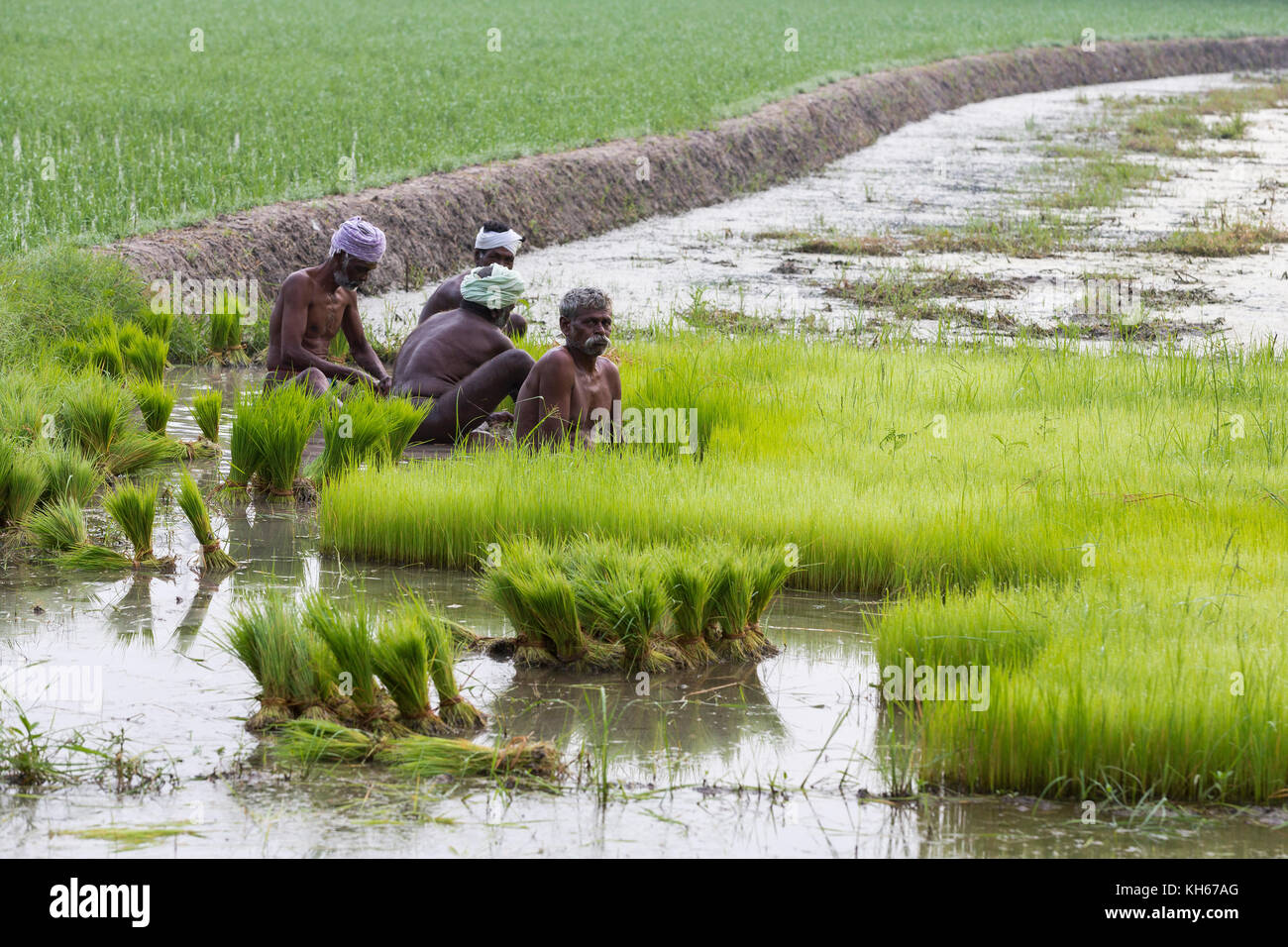 PONDICHERY, PUDUCHERY, INDIA - CIRCA SEPTEMBER 2017. Unidentified ...