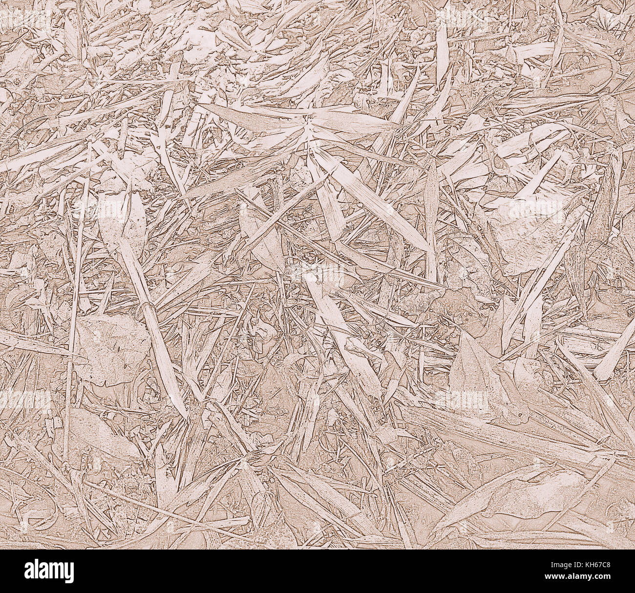 bamboo leaf litter abstract Stock Photo - Alamy