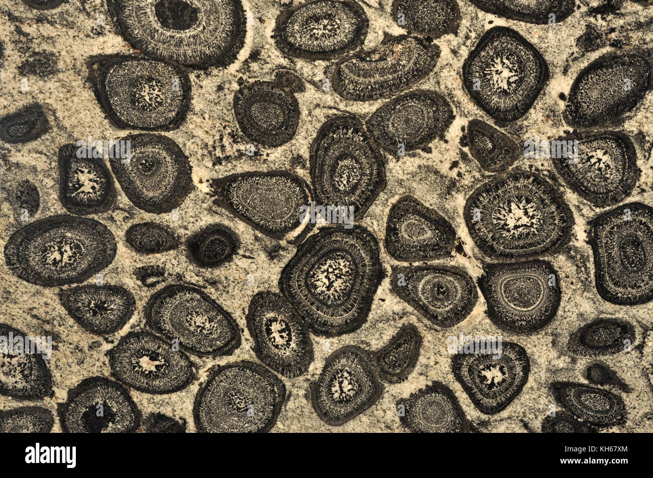 Cooling magma hi-res stock photography and images - Alamy