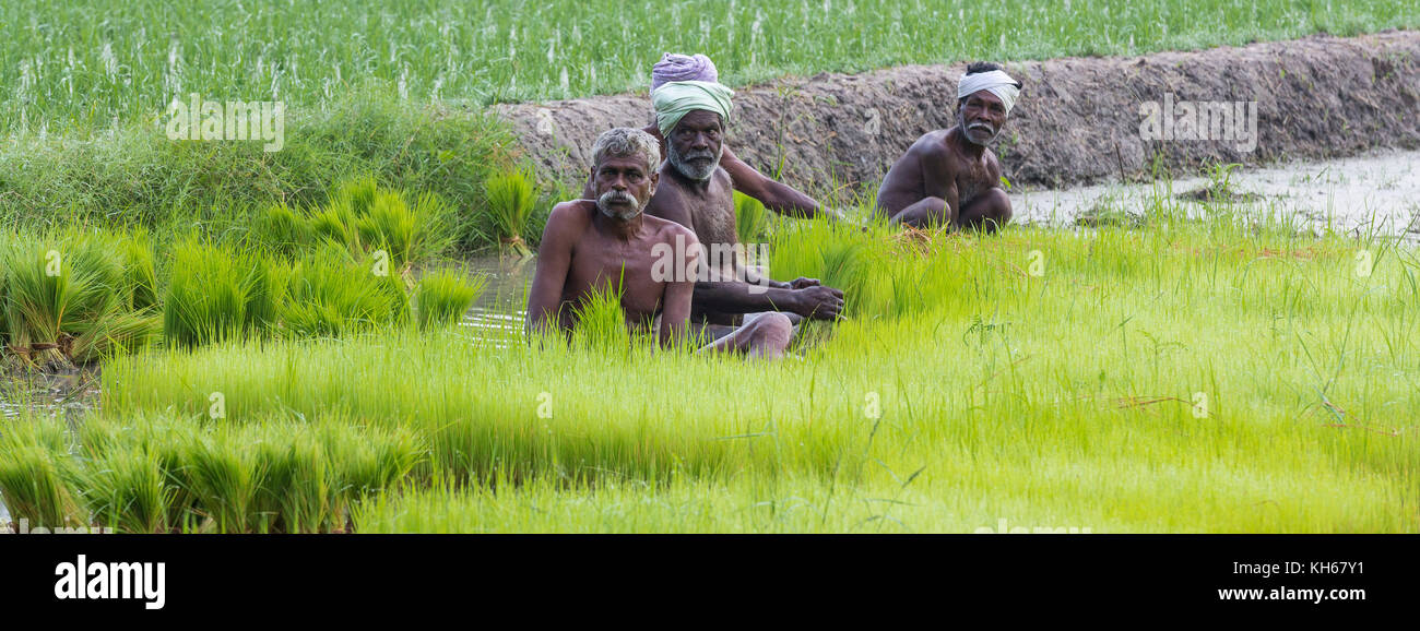 PONDICHERY, PUDUCHERY, INDIA - CIRCA SEPTEMBER 2017. Unidentified ...