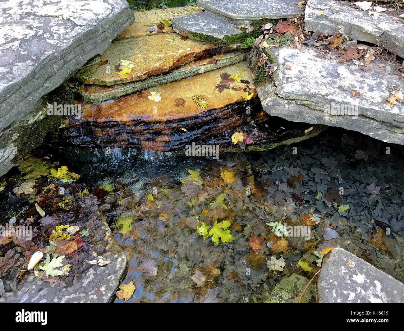 Lily pool hi-res stock photography and images - Alamy