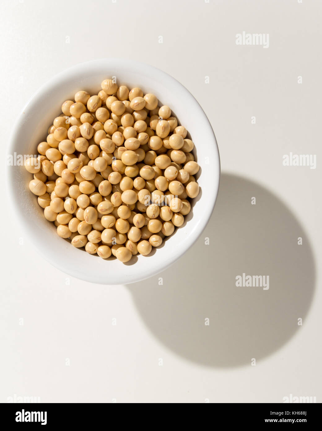 Scientific name glycine max hi-res stock photography and images - Alamy