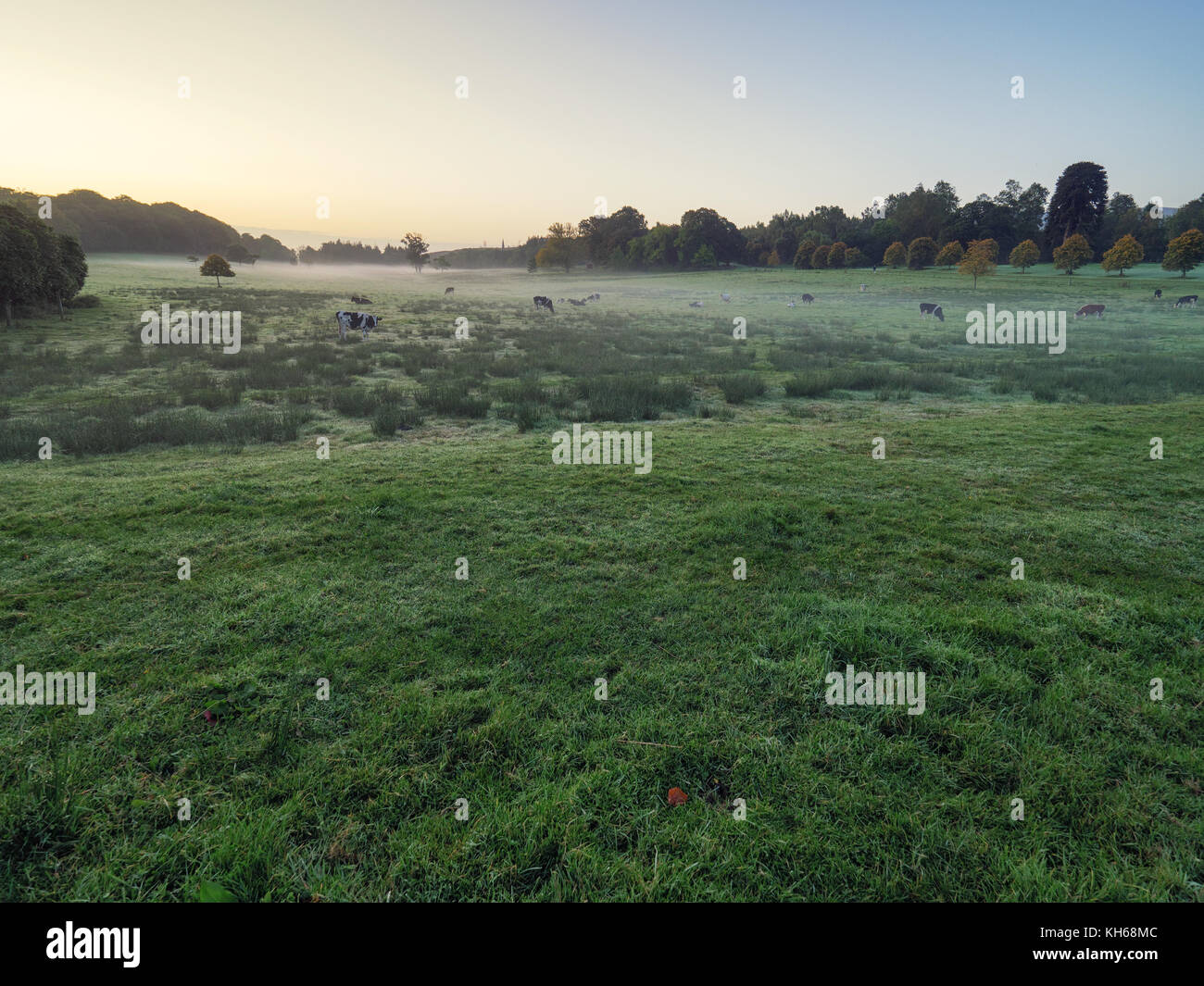 Early Autumn countryside morning,Northern Ireland Stock Photo - Alamy