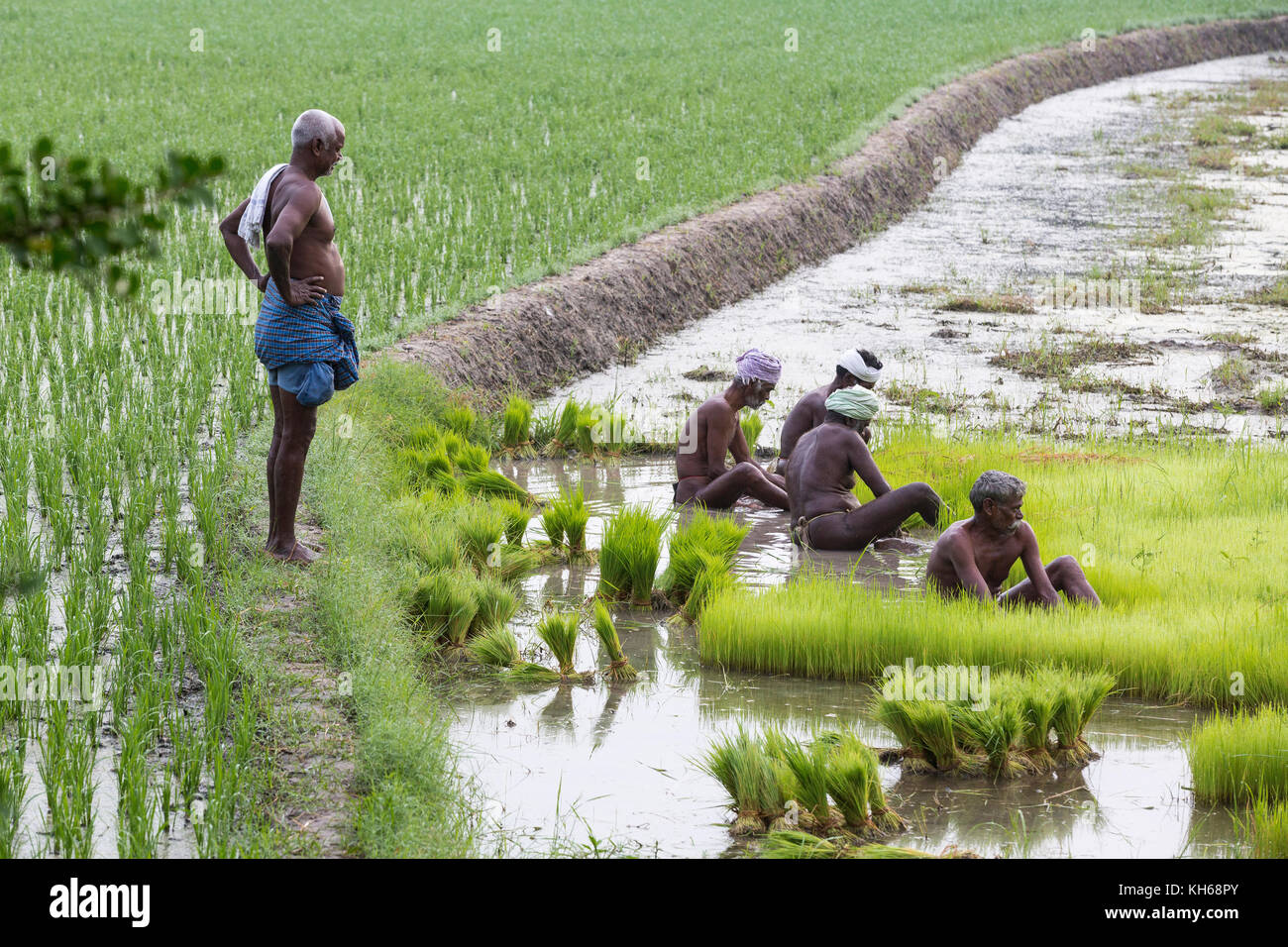 PONDICHERY, PUDUCHERY, INDIA - CIRCA SEPTEMBER 2017. The boss look at ...