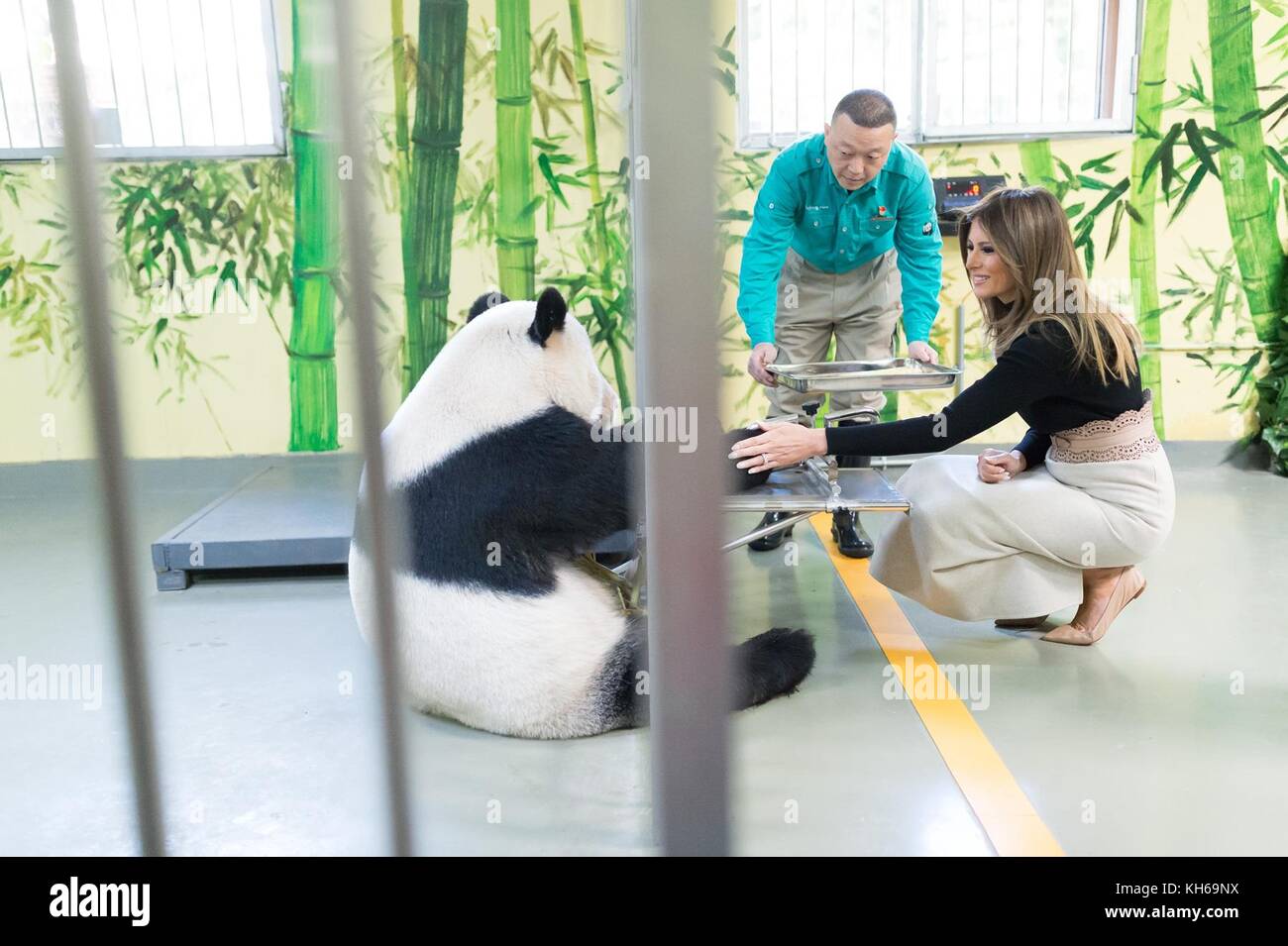 U.S First Lady Melania Trump feeds bamboo to captive Panda Gu Gu during ...