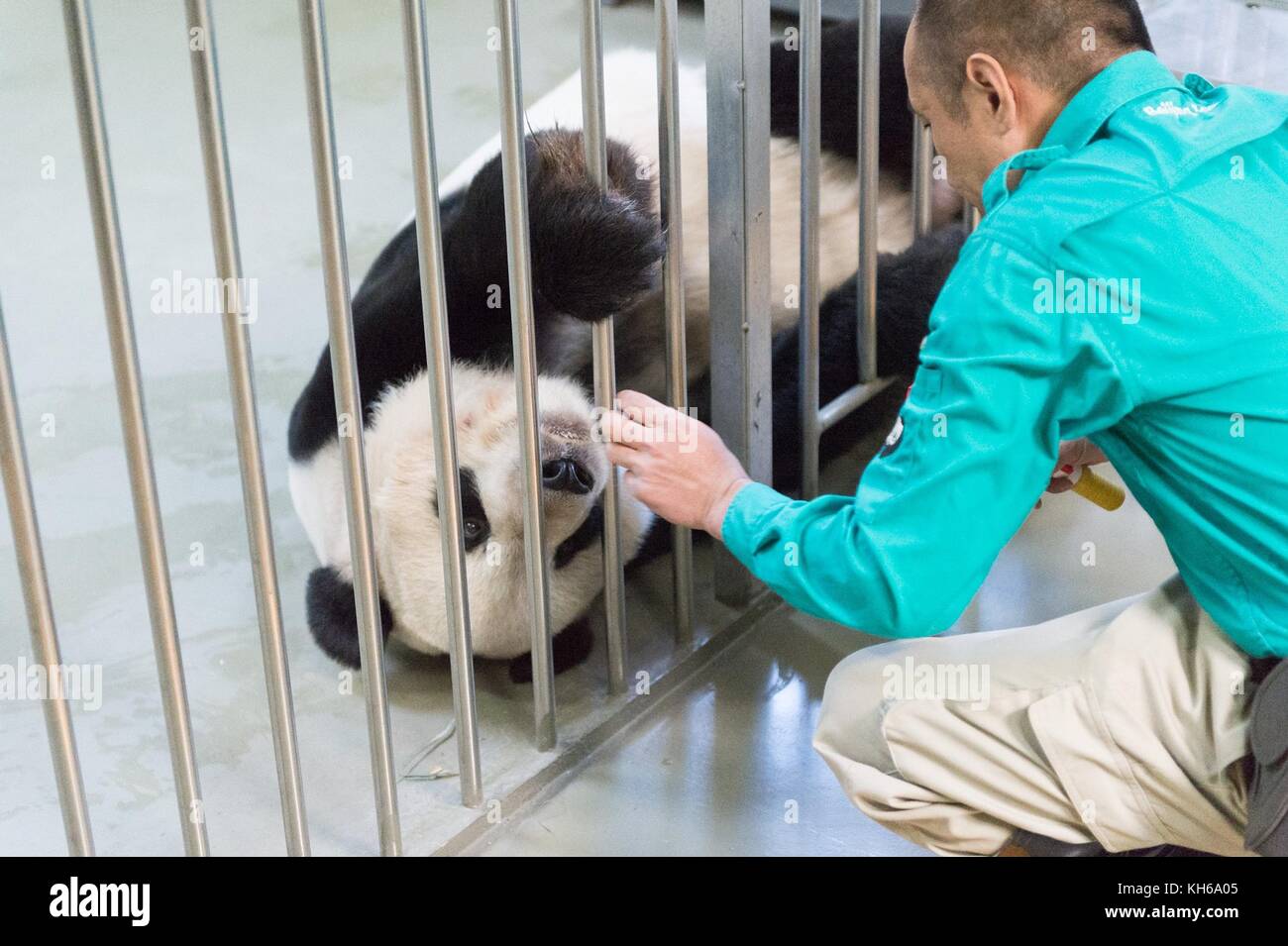 Li xiaoguang hi-res stock photography and images - Alamy