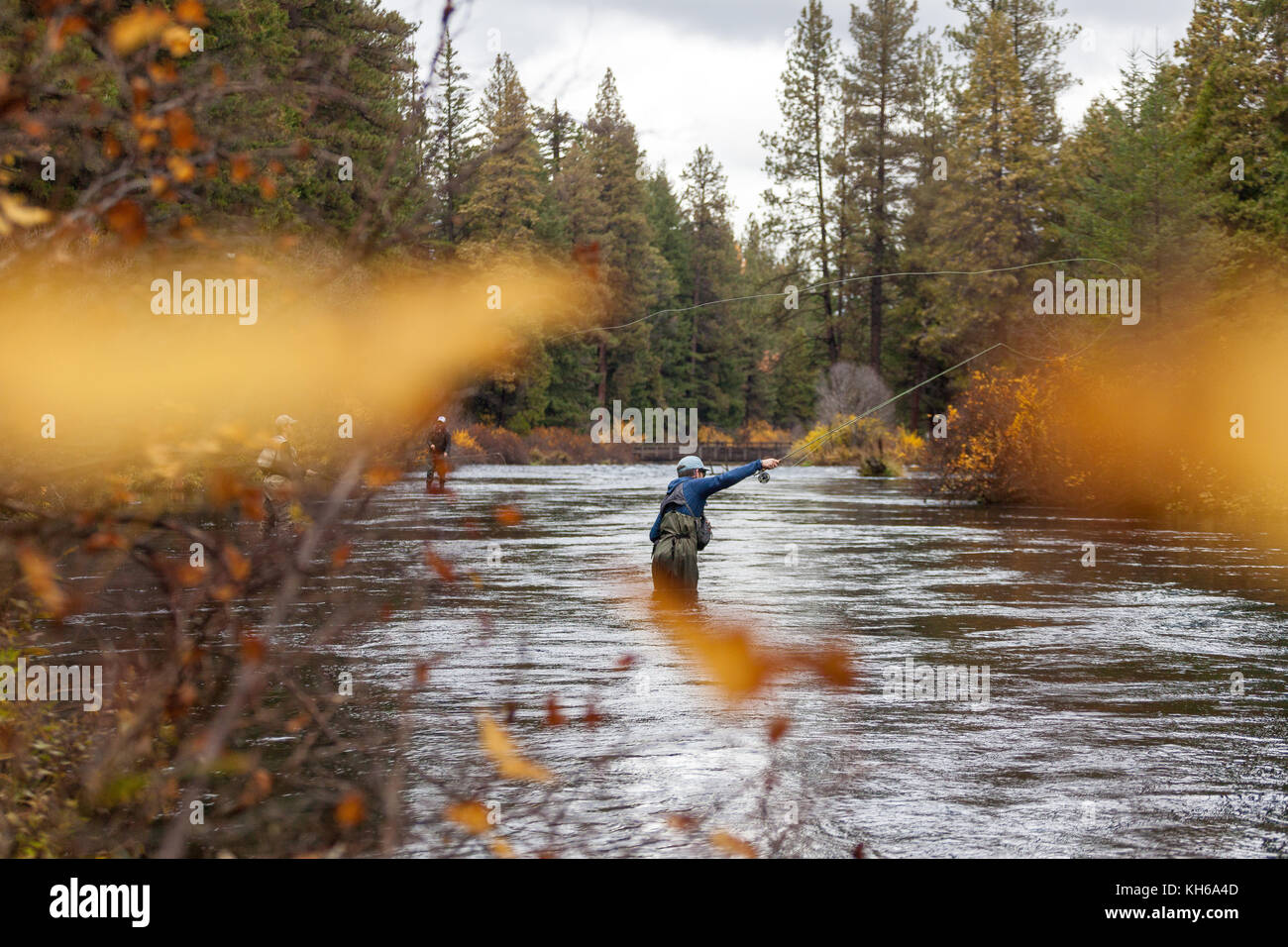 Metolius River Stock Photos & Metolius River Stock Images - Alamy