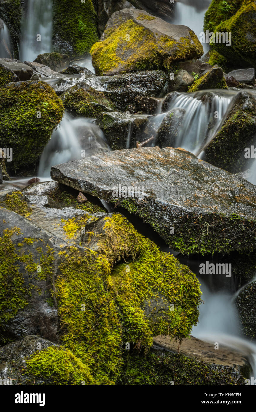 Close Up of Water Rushing Over Mossy Rocks Stock Photo - Alamy