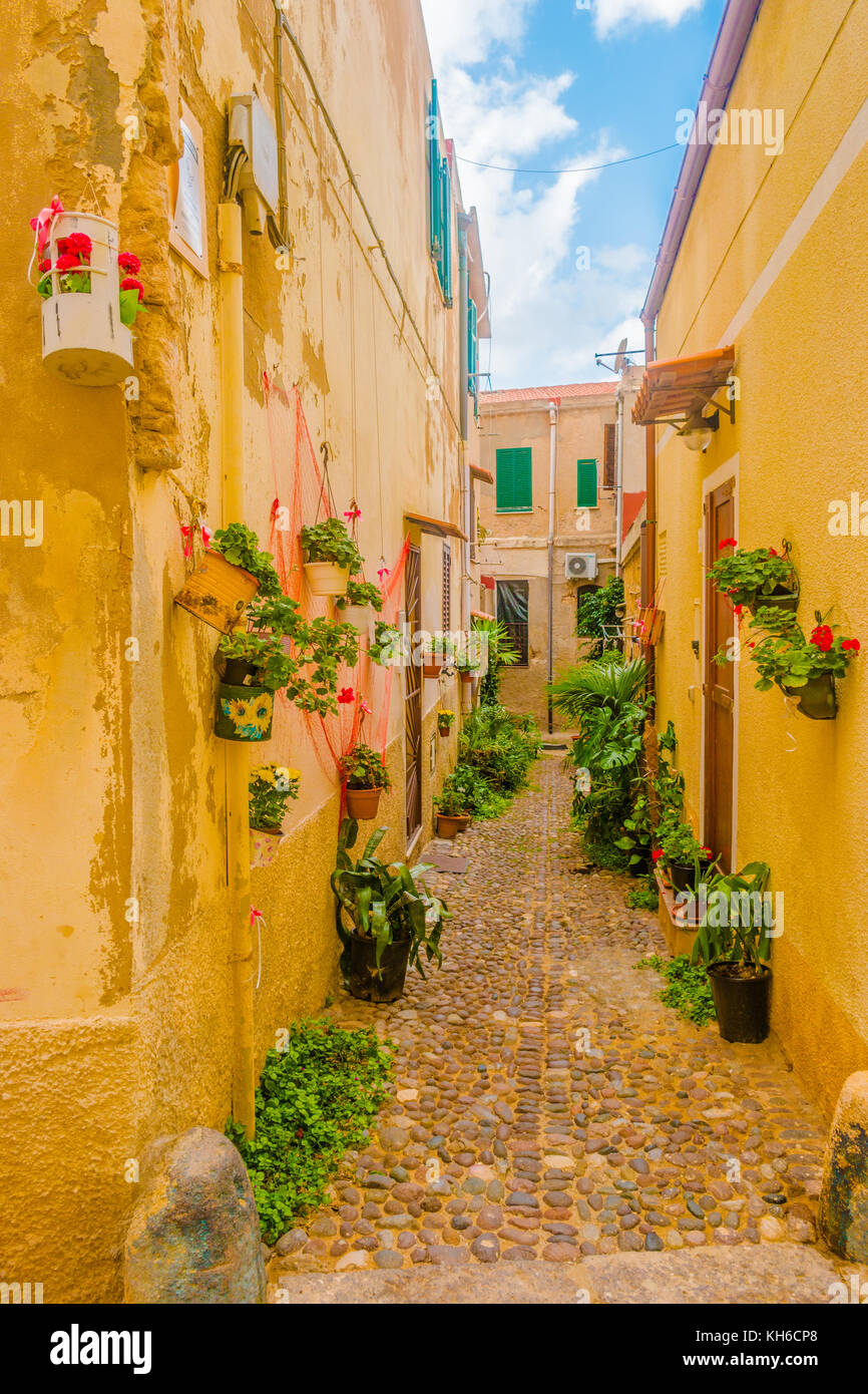Beautiful narrow street in the picturesque Alghero old town, Italy ...