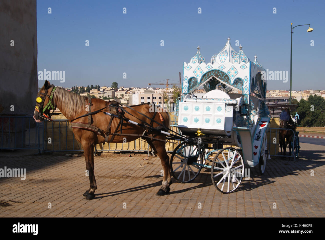 The Silver Horse Carriage Stock Photo - Alamy