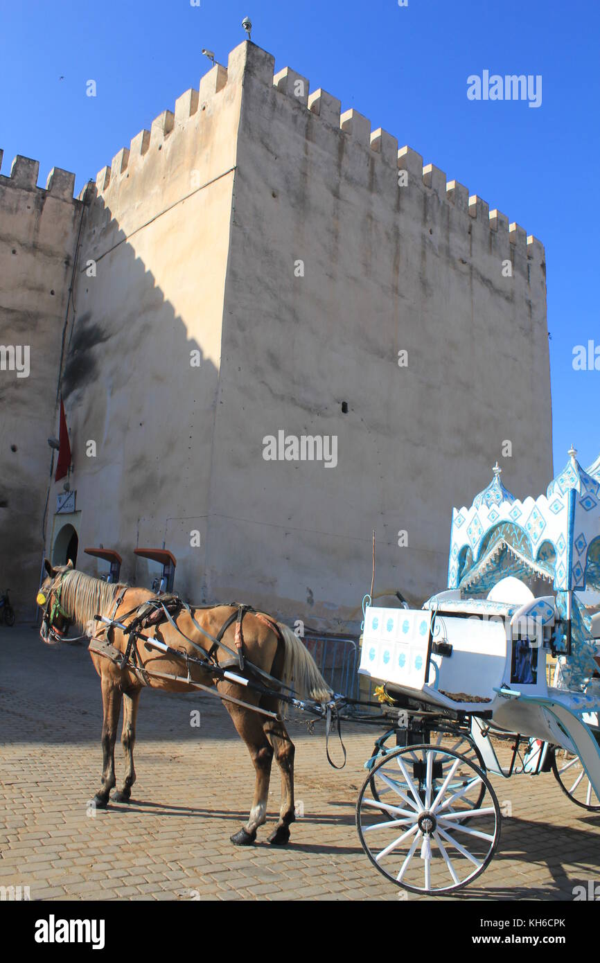 The Silver Horse Carriage Stock Photo - Alamy