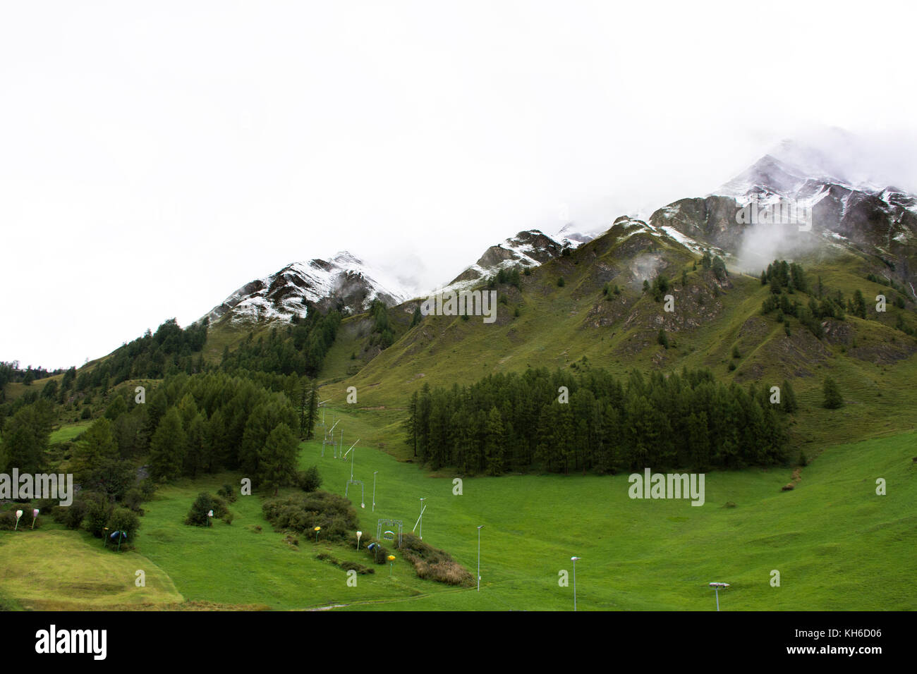 Alpine tree forest on the mountain with Alps highest and most extensive ...