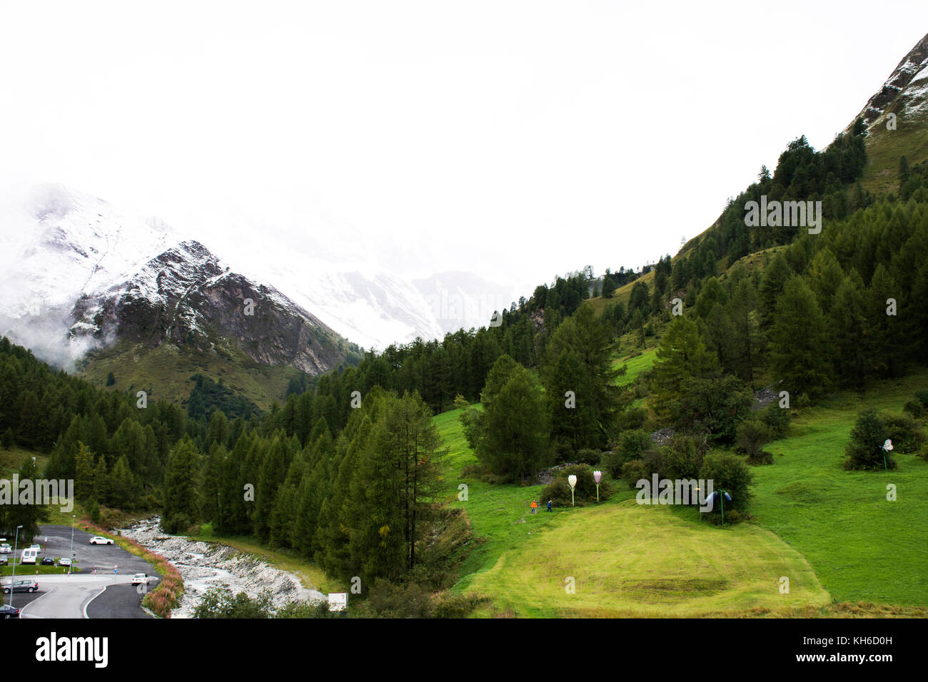 Alpine tree forest on the mountain with Alps highest and most extensive ...