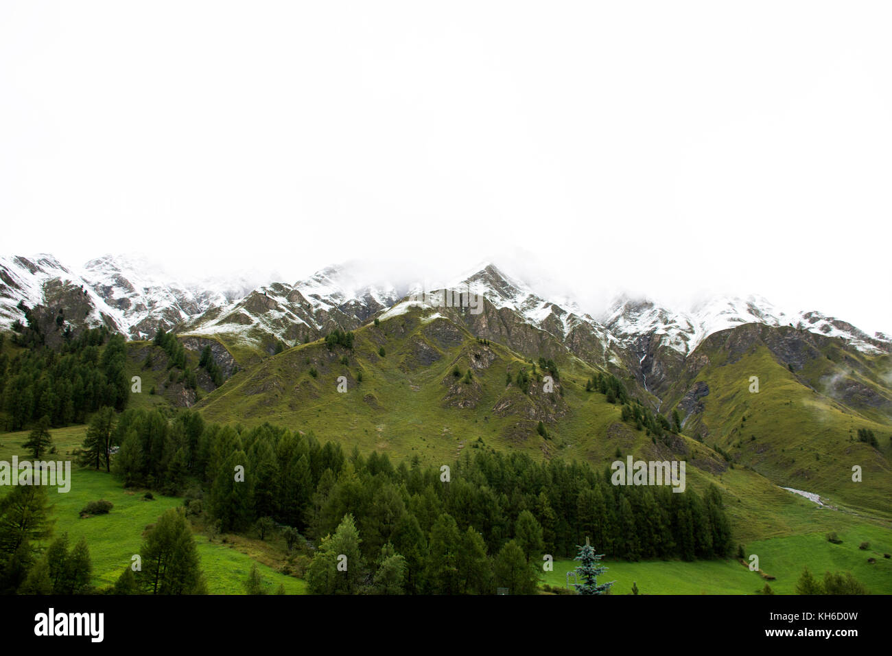 Alpine tree forest on the mountain with Alps highest and most extensive ...