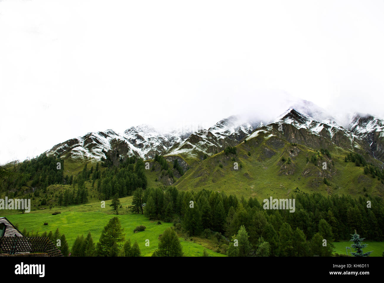 Alpine tree forest on the mountain with Alps highest and most extensive ...