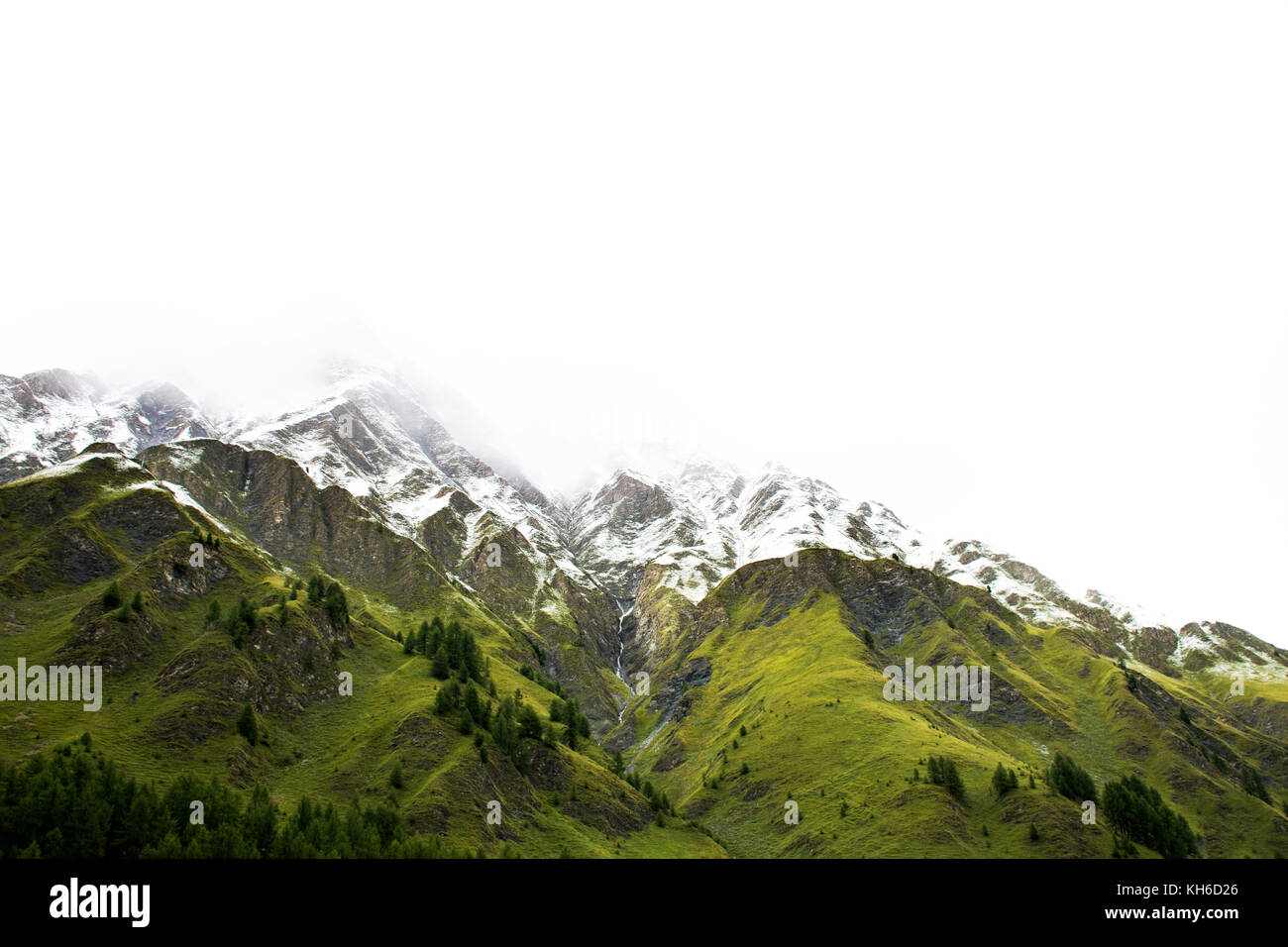 Alpine tree forest on the mountain with Alps highest and most extensive ...