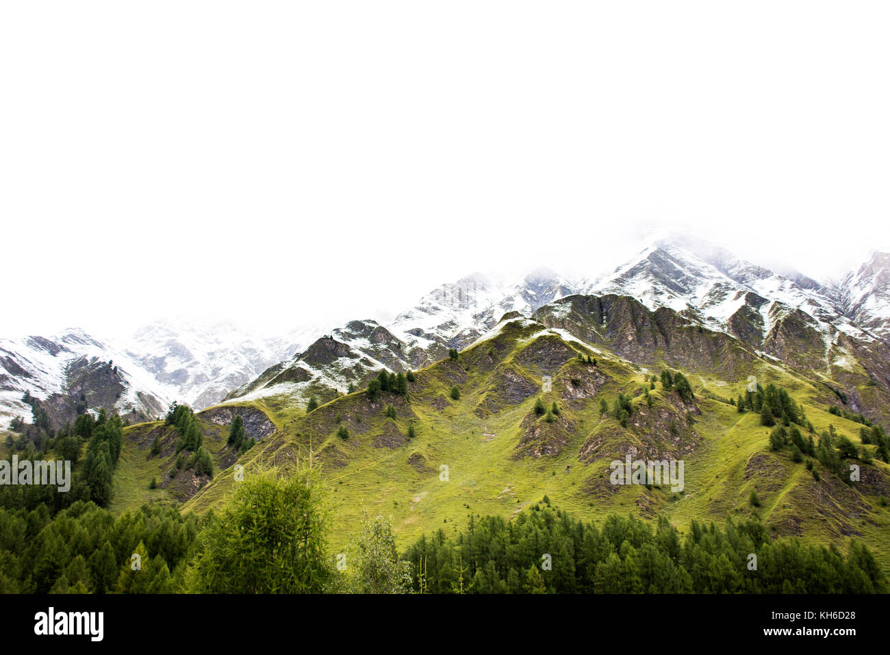 Alpine tree forest on the mountain with Alps highest and most extensive ...