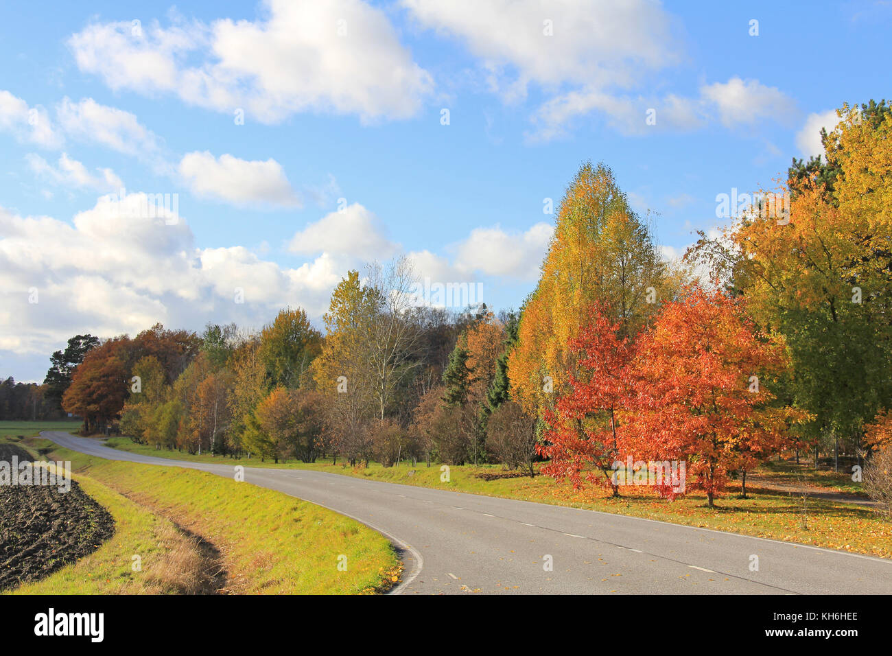 Colorful fall foliage along rural road on a beautiful day of autumn ...