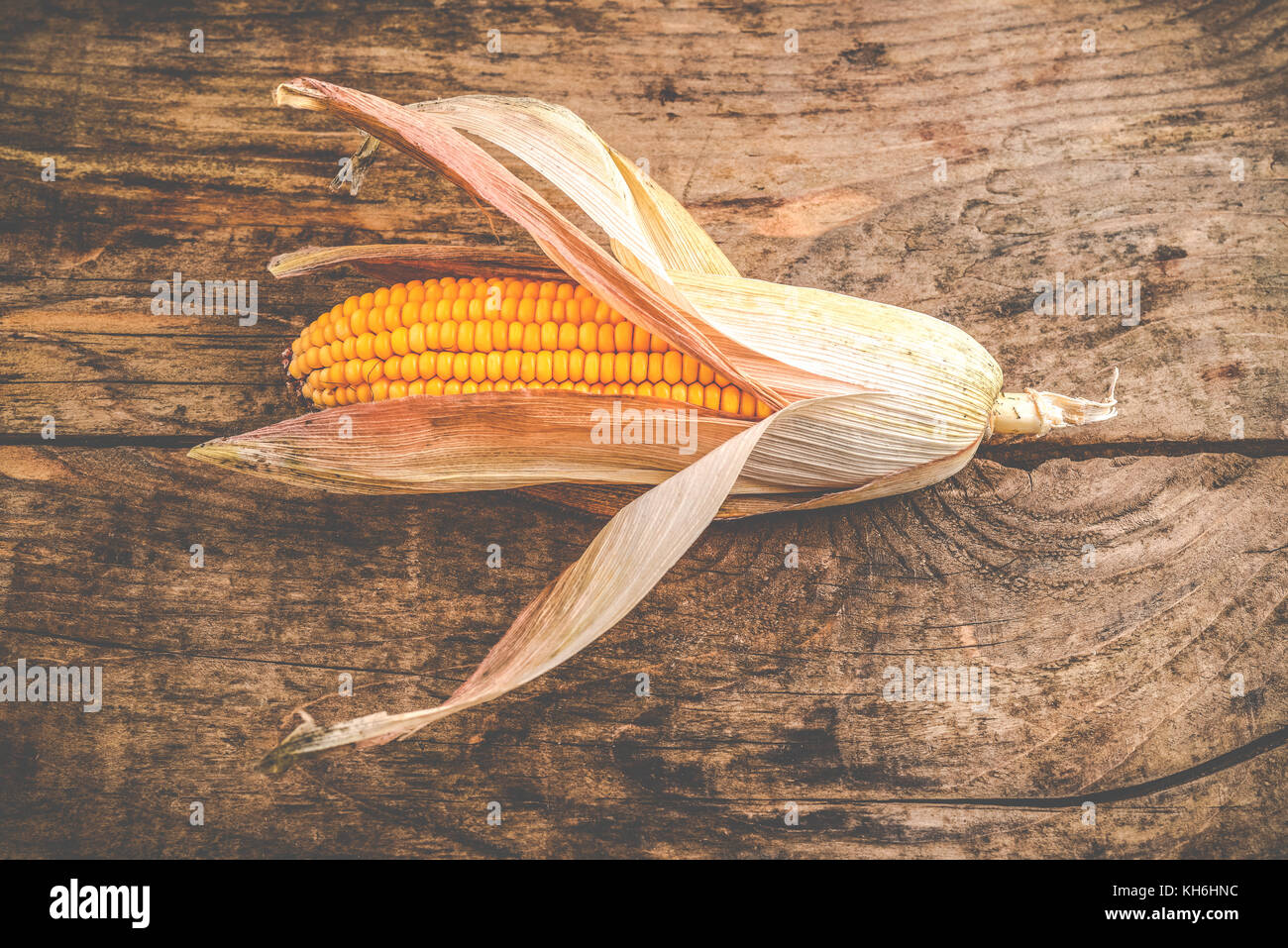 Maize corn cereal cereals hi-res stock photography and images - Alamy