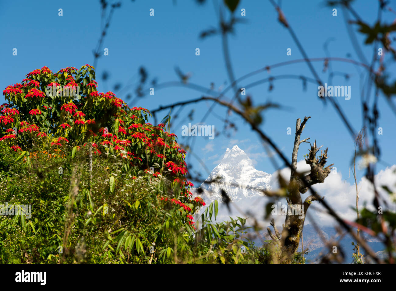 Dhampus village of Nepal near Pokhara Stock Photo - Alamy