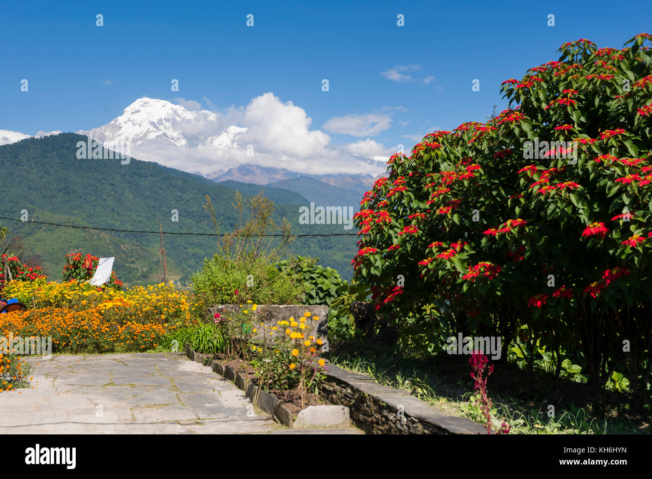 Dhampus hi-res stock photography and images - Alamy