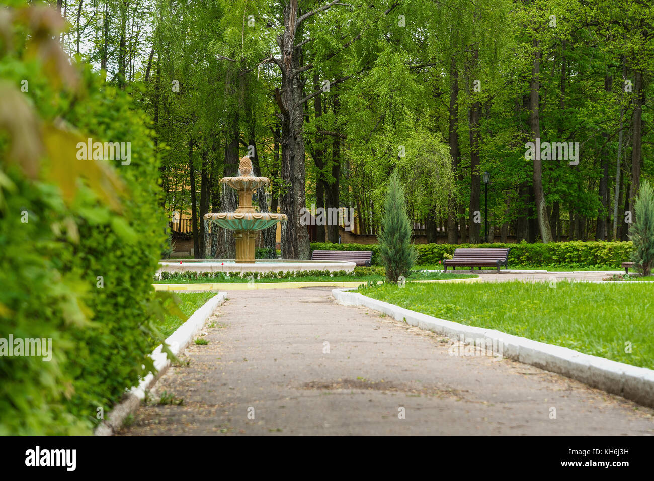 Fountain trees hi-res stock photography and images - Alamy