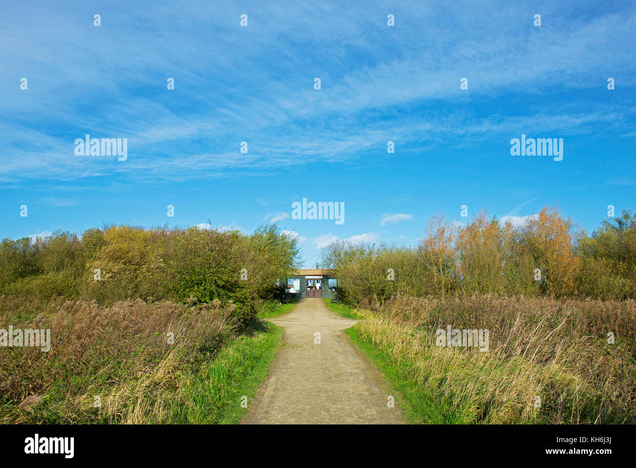 The visitor centre of Blacktoft Sands, an RSPB reserve in East ...