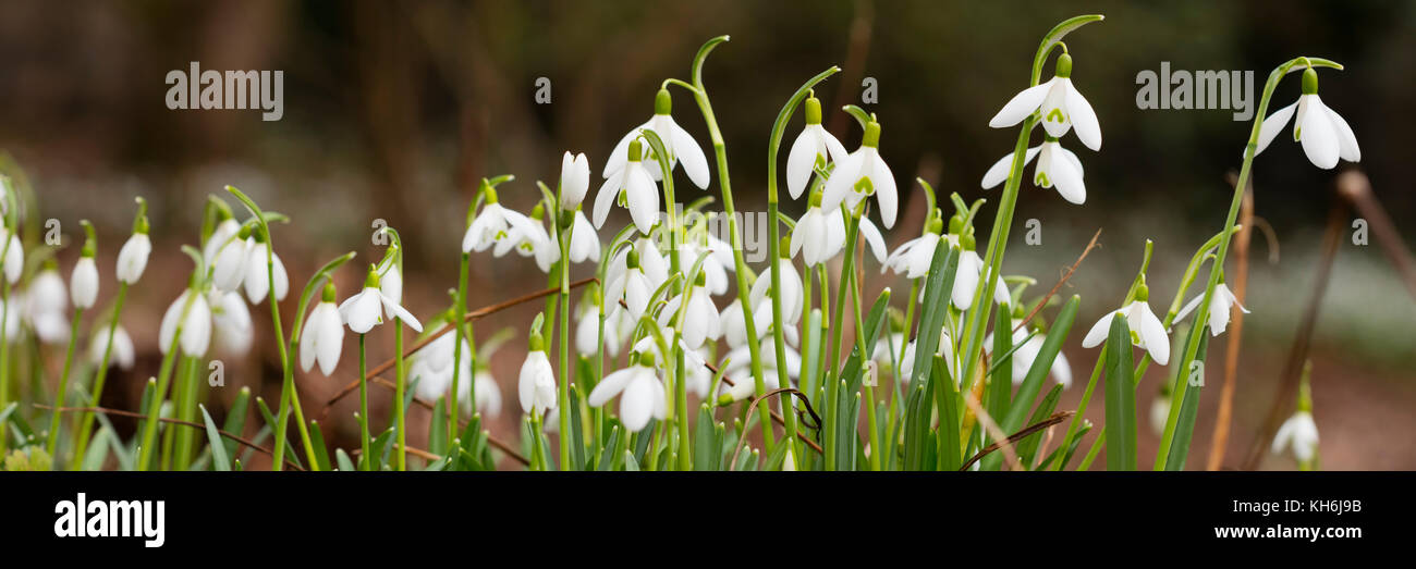 Daylight spring hi-res stock photography and images - Alamy