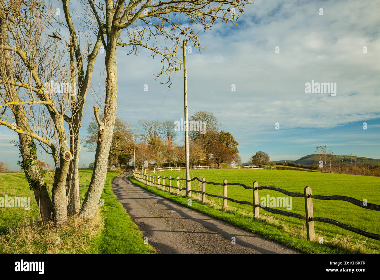 England wooden countryside hi-res stock photography and images - Alamy