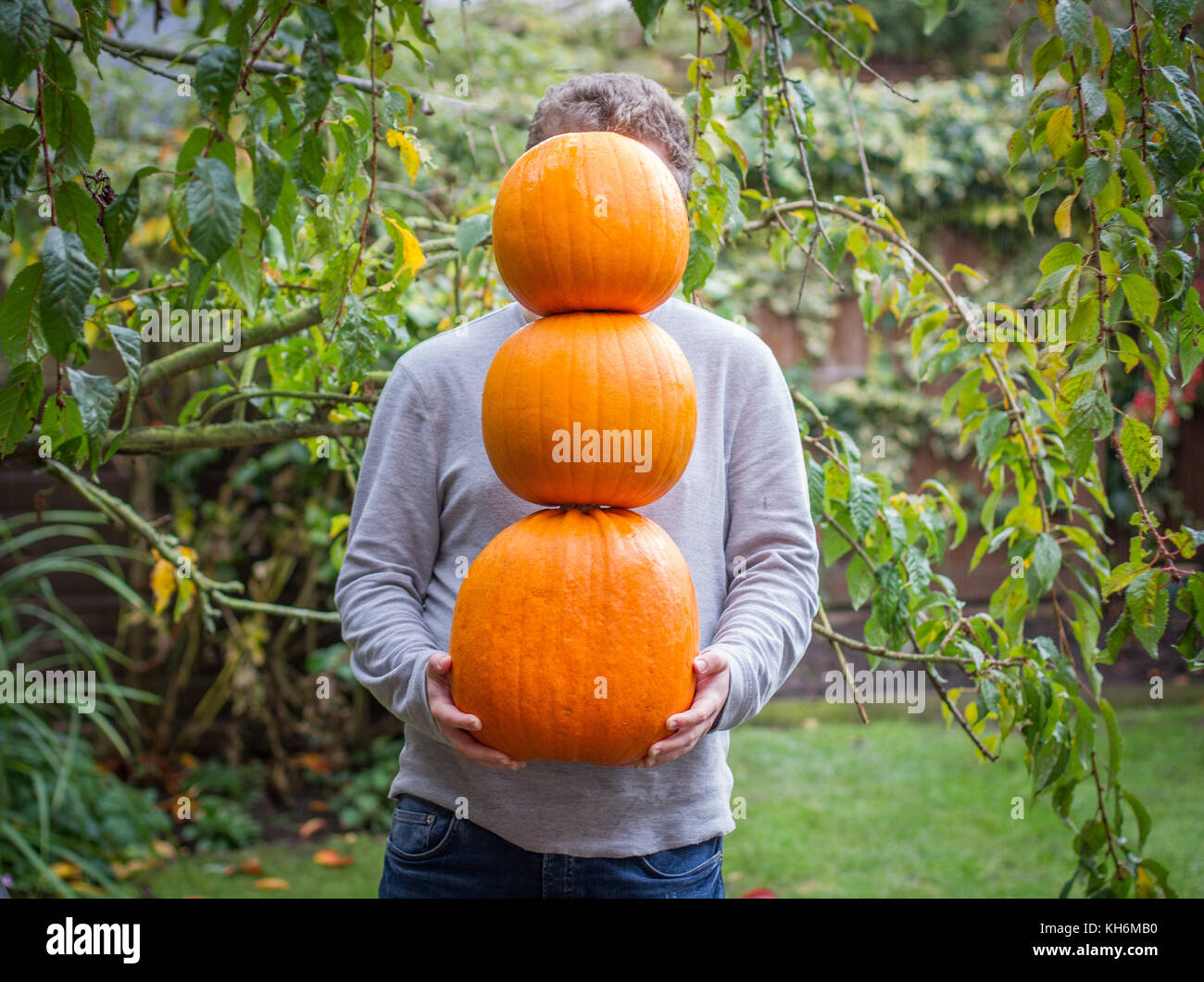 An anonymous young man holding and balancing three pumpkins in his ...