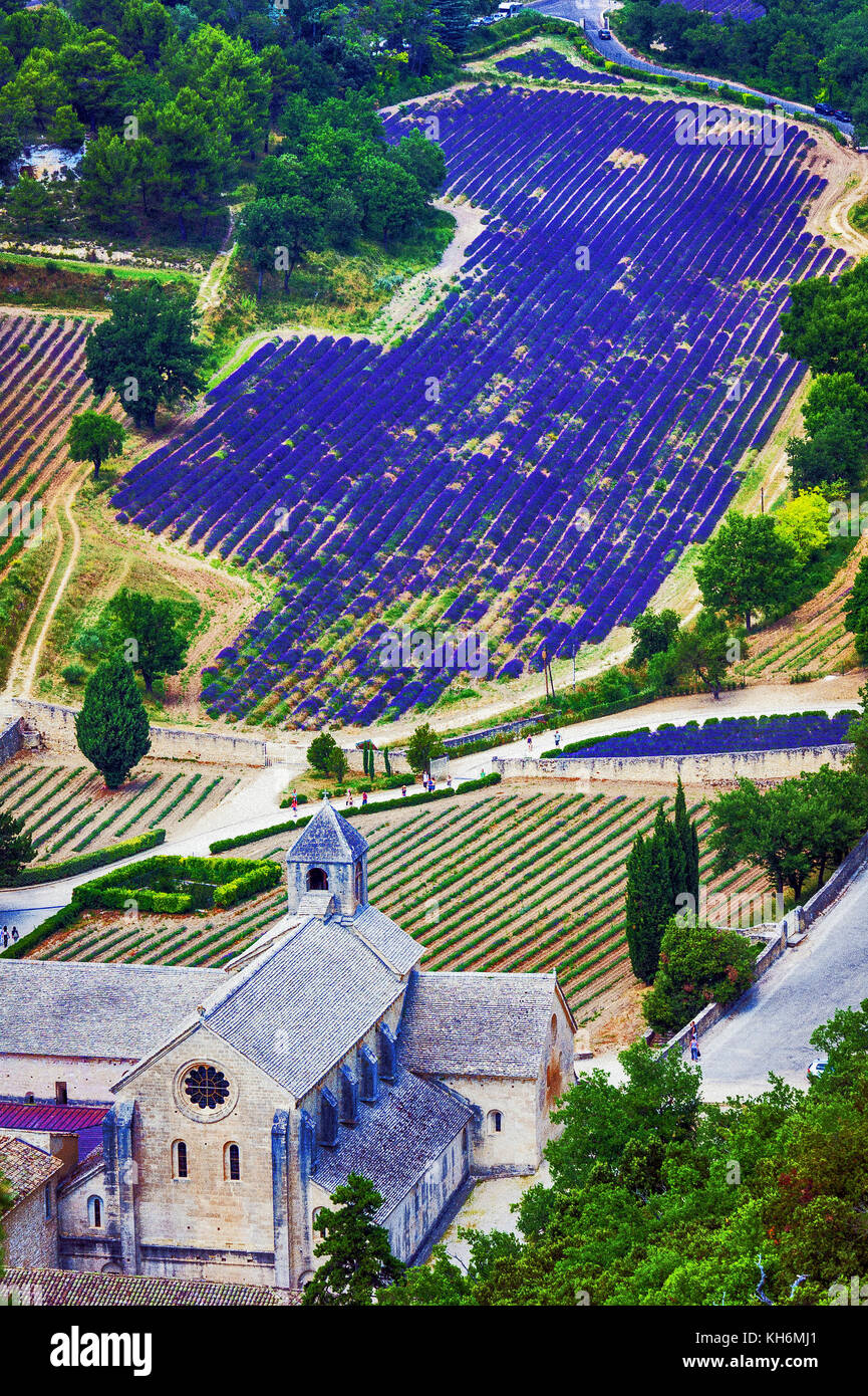 Europe, France, Luberon, Vaucluse. Senanque Abbey or Abbaye Notre-Dame ...