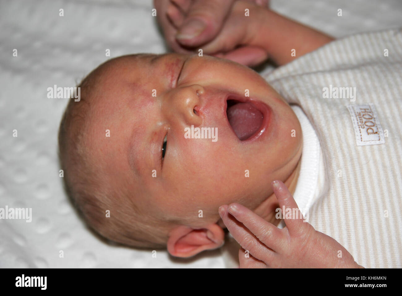 One week old baby girl Stock Photo - Alamy