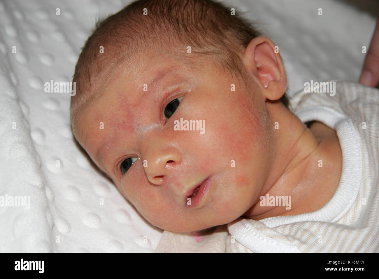 One week old baby girl Stock Photo - Alamy