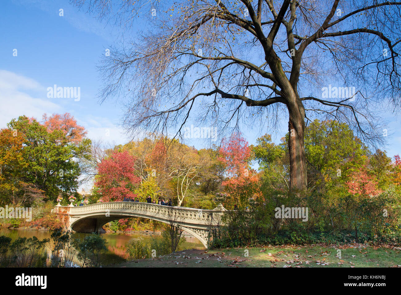 Scenic Bow Bridge in Central Park New York City with colorful autumn ...