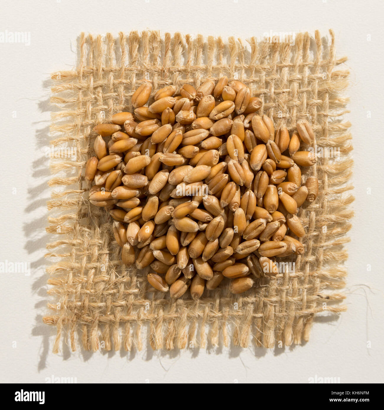 Trigo square hi-res stock photography and images - Alamy