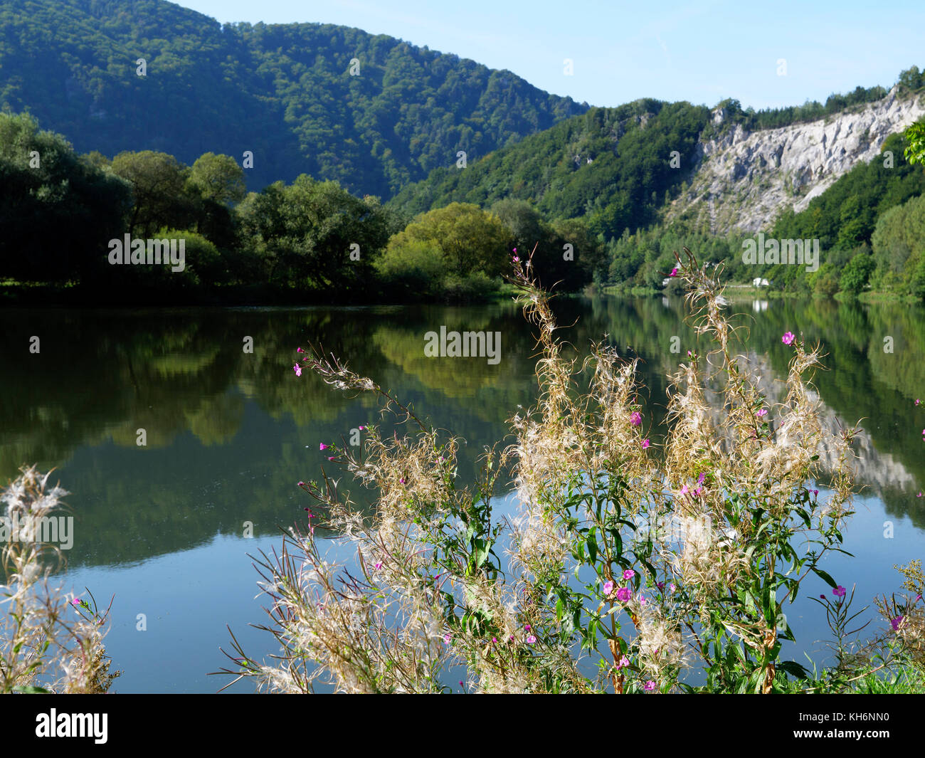 Fluss vah waag hi-res stock photography and images - Alamy