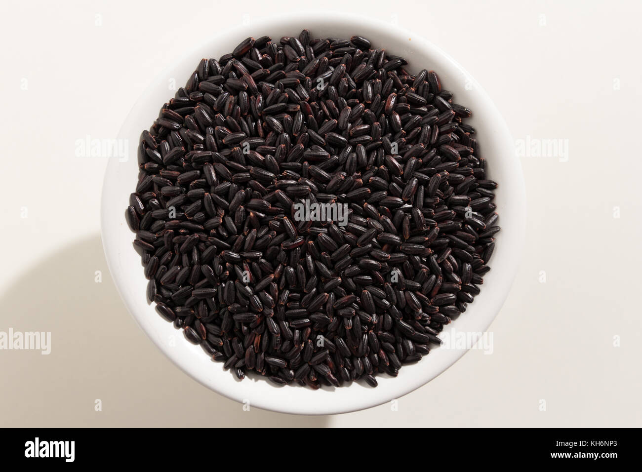 Oryza sativa is scientific name of Black Rice seed. Also known as Arroz ...