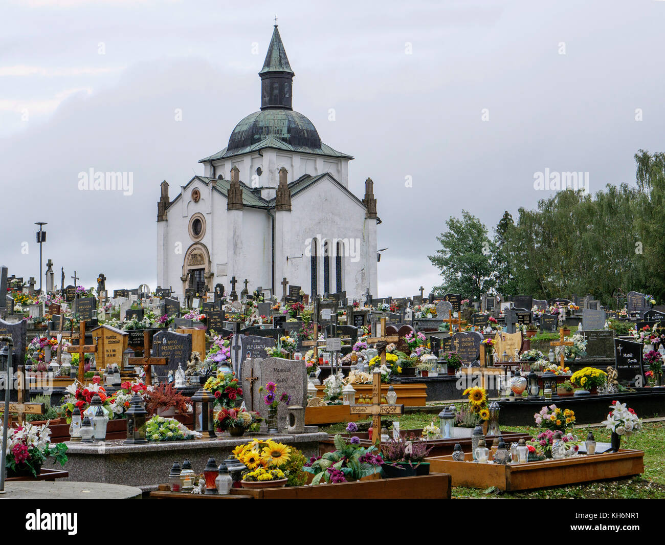 Zilinsky hi-res stock photography and images - Alamy