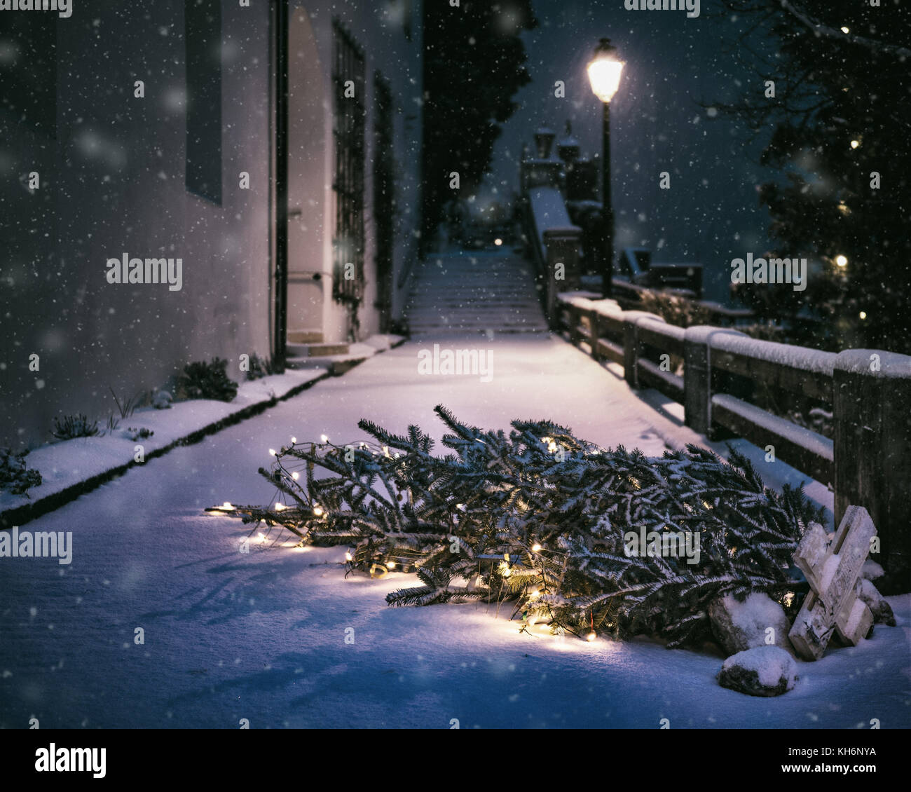 Tree snow street Stock Photo - Alamy