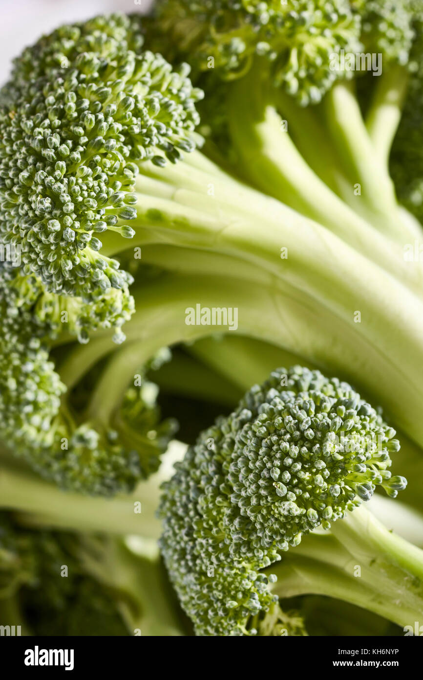 a head of fresh, raw broccoli Stock Photo - Alamy