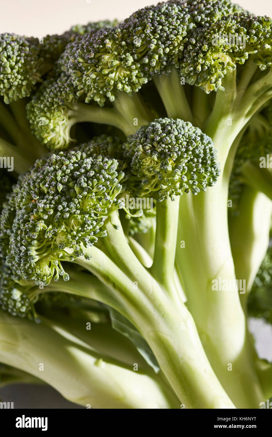 a head of fresh, raw broccoli Stock Photo - Alamy