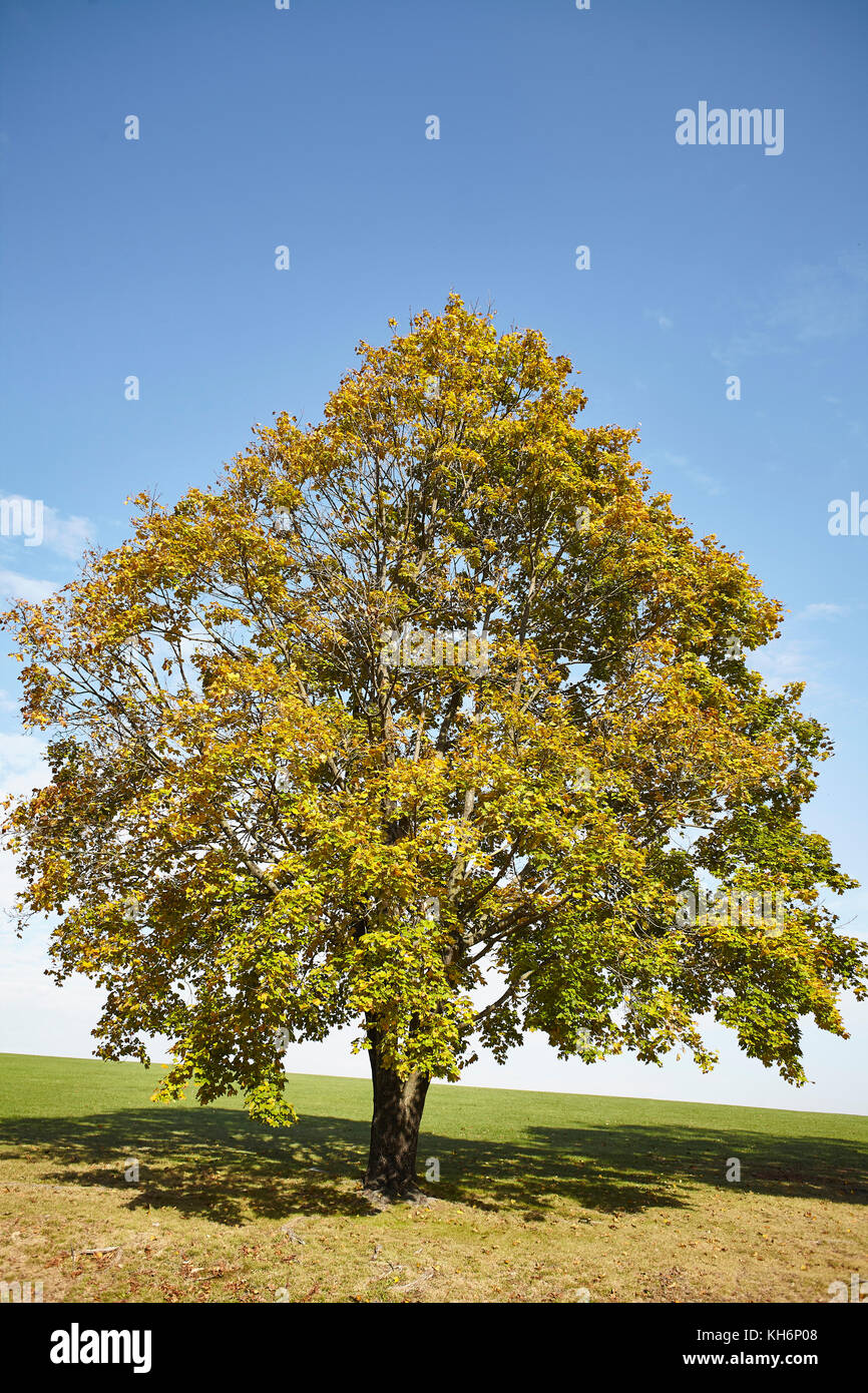 Pennsylvania autumn hi-res stock photography and images - Alamy