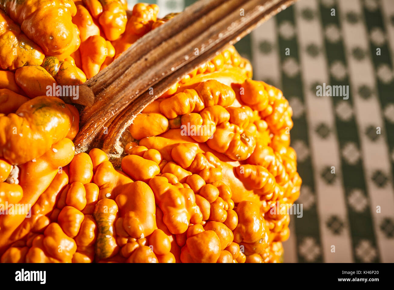 a red warty pumpkin Stock Photo - Alamy