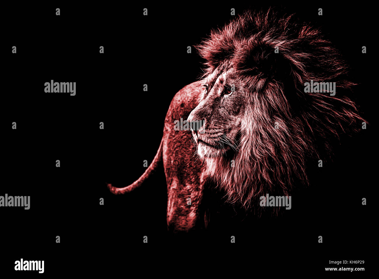 a lion portrait in dark red colours Stock Photo - Alamy