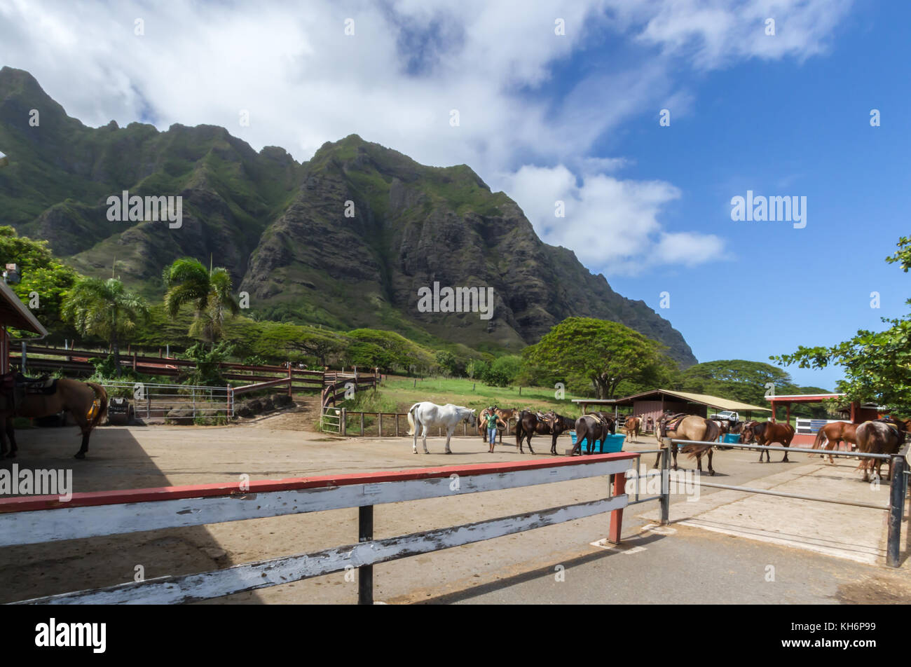 Kualoa Ranch and mountains on the Island of Oahu Stock Photo - Alamy